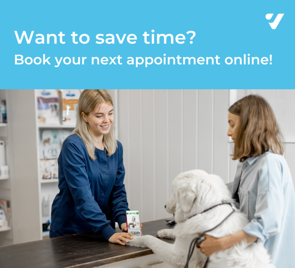 Online Booking Now Available At Family Vets | Family Vets Athlone